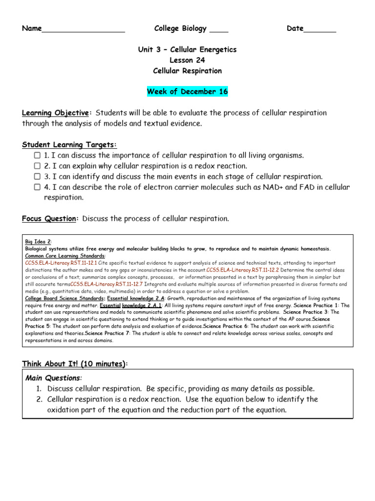Lesson 24 (College Bio) Cellular Respiration | PDF | Cellular ...