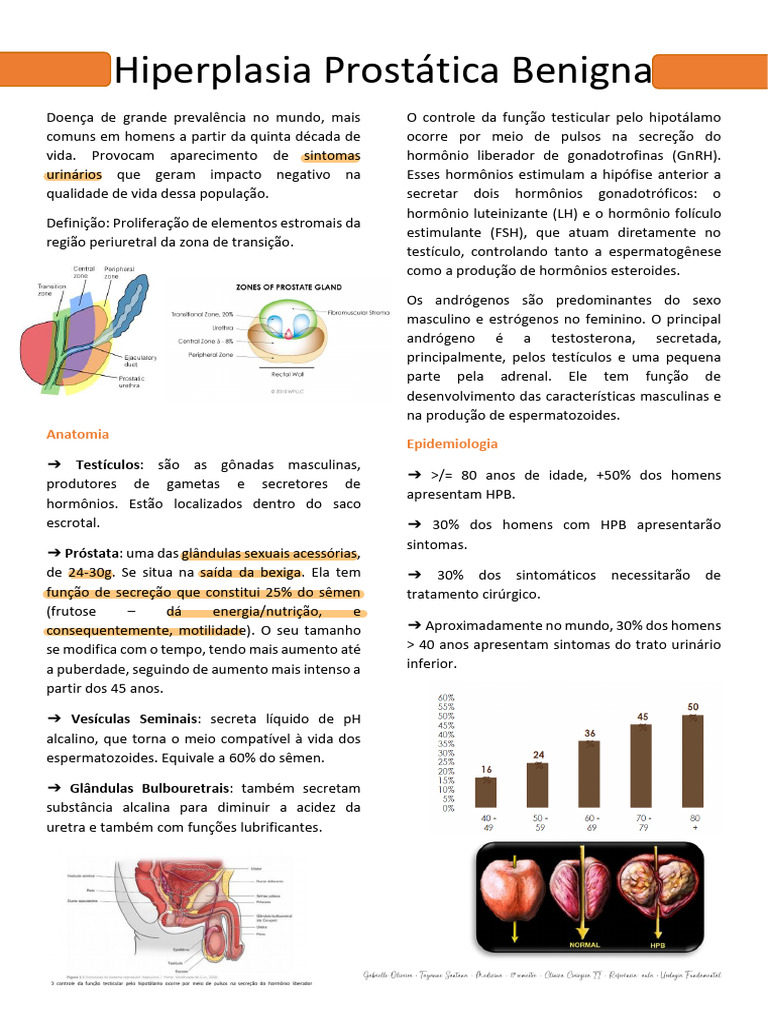 Hiperplasia Prostática Benigna: Sintomas e Diagnóstico | PDF | Próstata ...