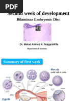 Bilaminar Germ Disc Development Overview | PDF | Embryo | Anatomy