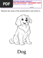 BECE Objective Answer Sheet Guide | PDF