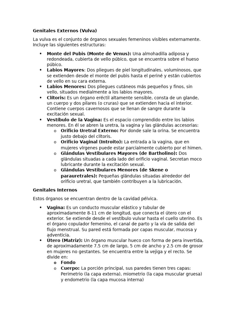 Anatomía de la Vulva y Genitales Femeninos | PDF | Pelvis | Vagina
