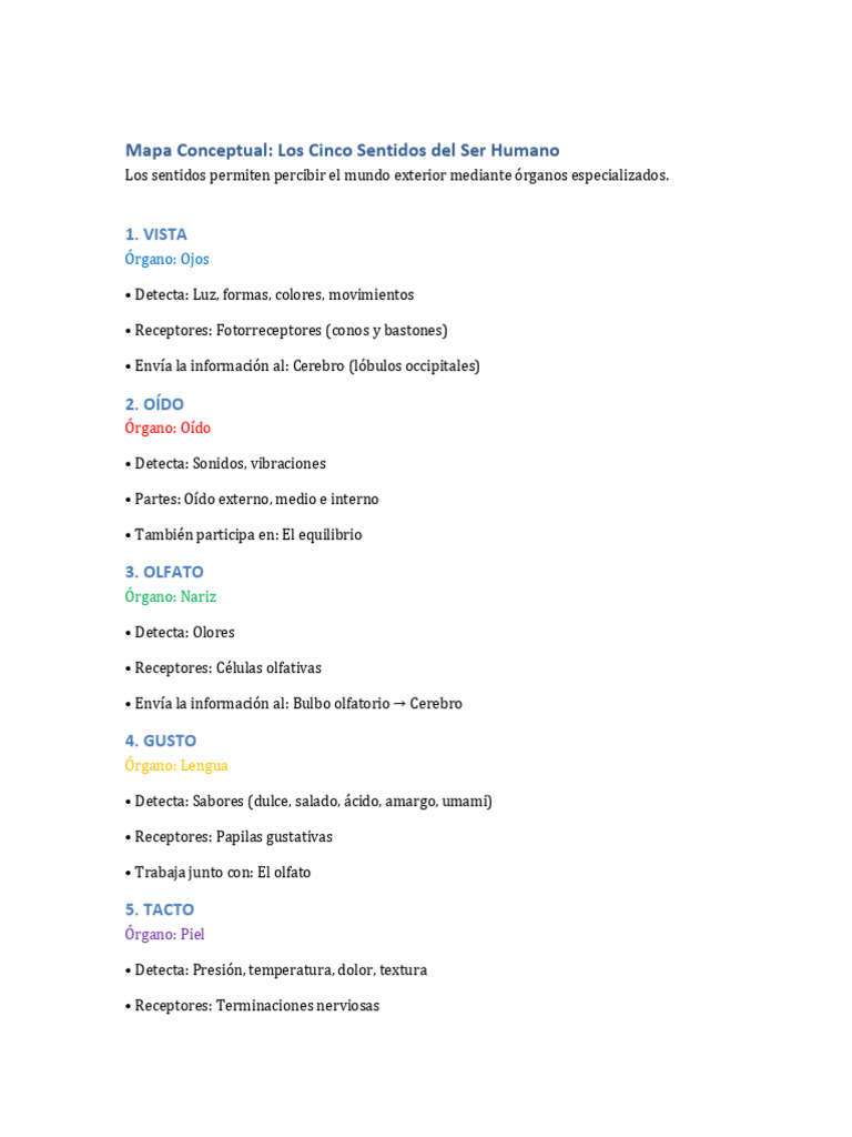 Mapa Conceptual de los Cinco Sentidos | PDF