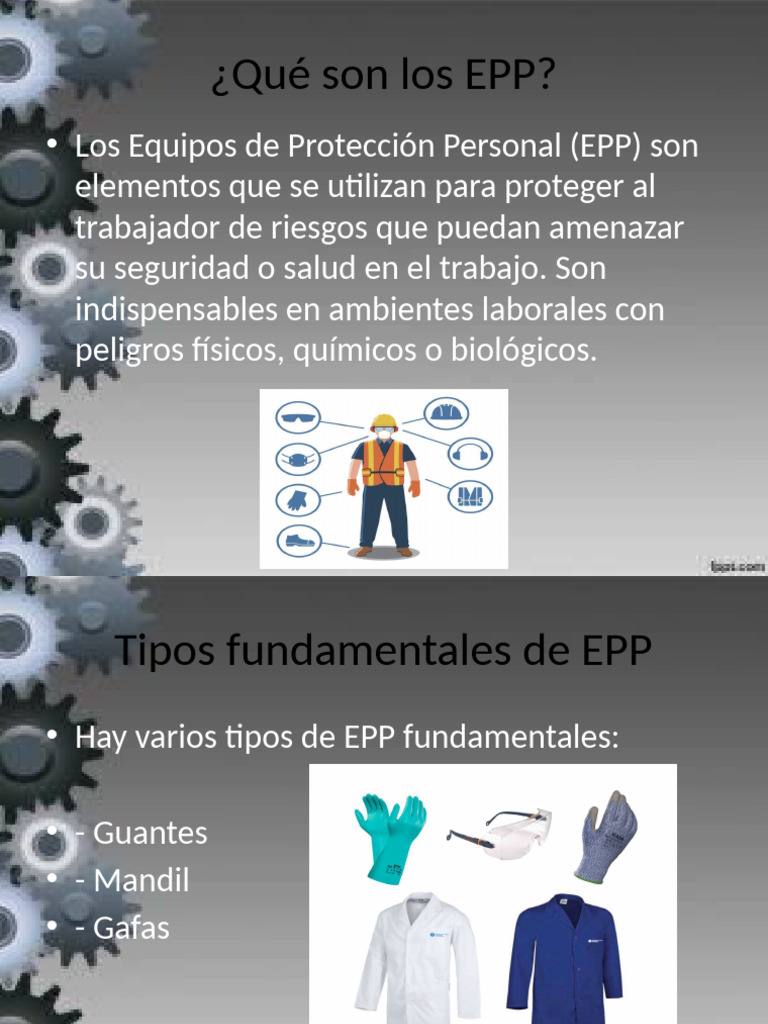 Tipos y funciones de EPP | PDF