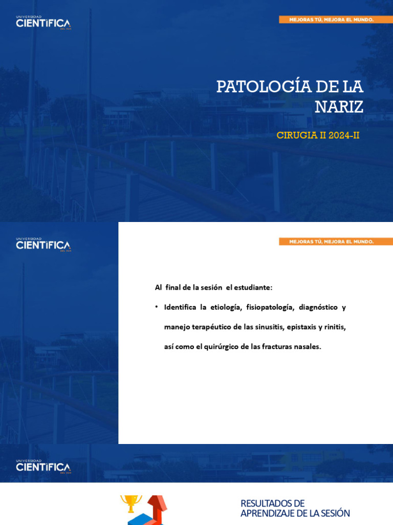 Orl 3 Patología de La Nariz 3 | PDF | Nariz humana | Rinología