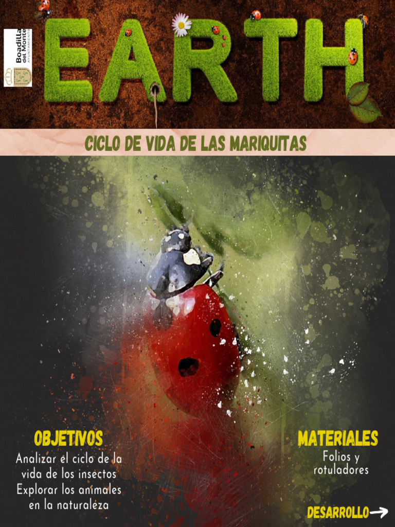 Ciclo Vital de la Mariquita | PDF
