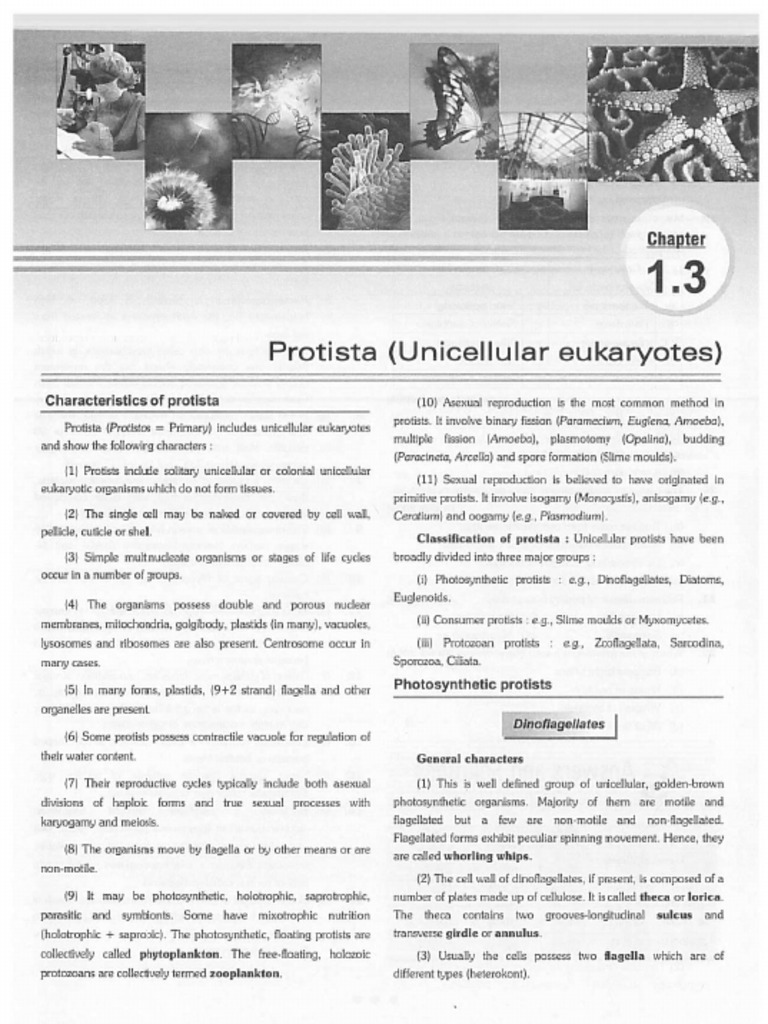 682337f306c65_1.3. Protista (Unicellular eukaryotes).pdf | PDF