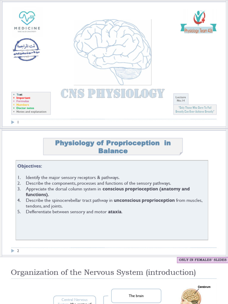 14 - Physiology of Proprioception in Balance (Editing) | PDF | Spinal ...