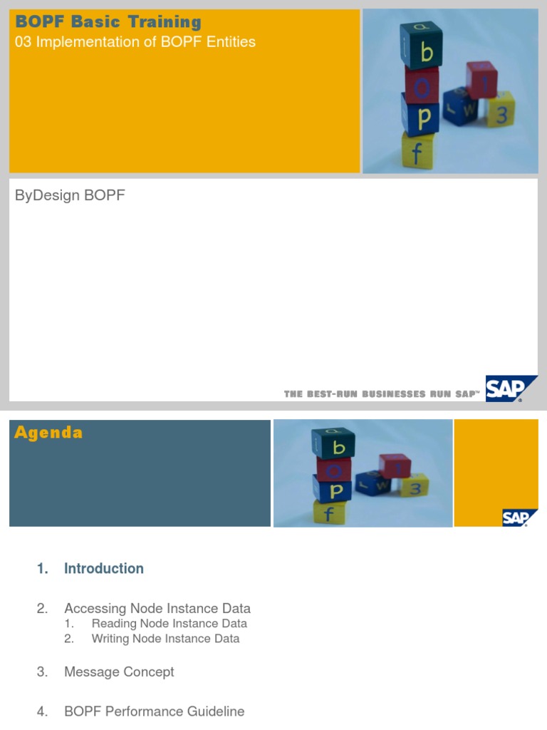 BOPF Basic Training - 03 Implementation of BOPF Entities | PDF | Software Framework | Class ...