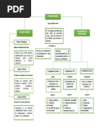 Colufase - Hoja - Informativa - Pacientes Farmacologia | PDF