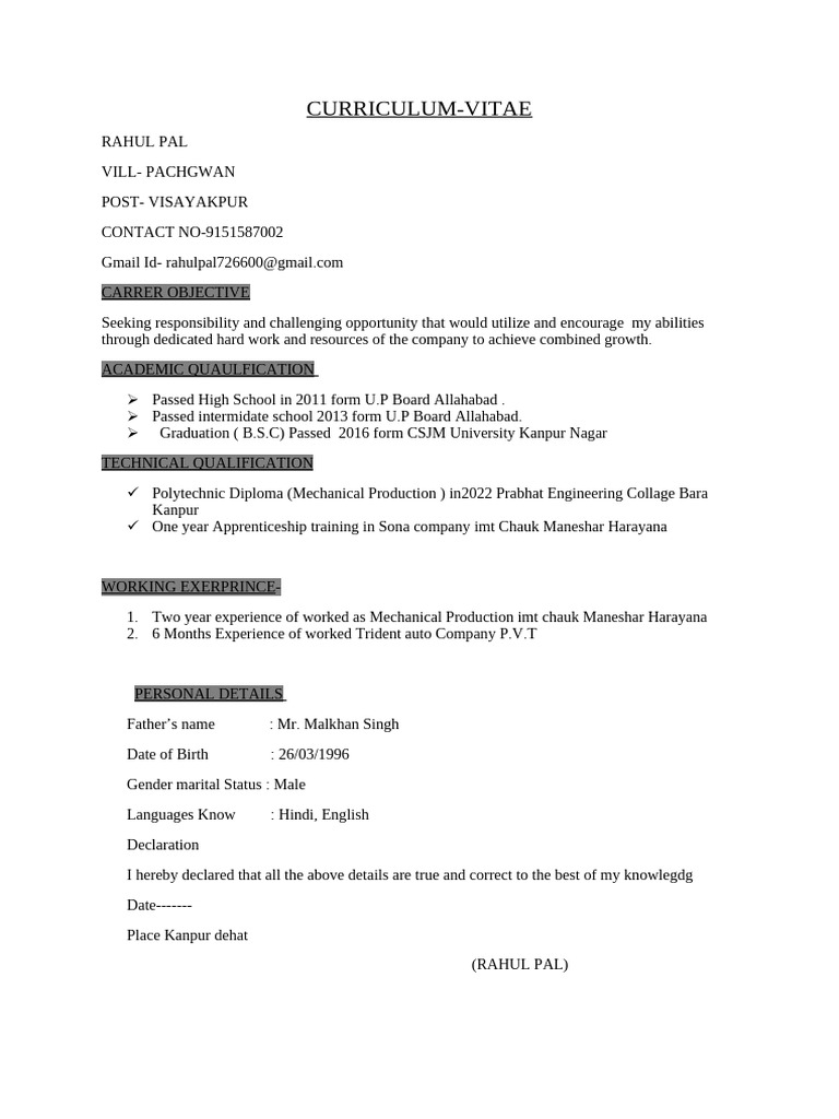 Rahul Pal's Professional CV | PDF