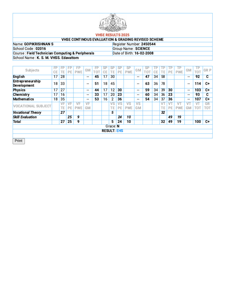 VHSE Results 2025 Overview | PDF