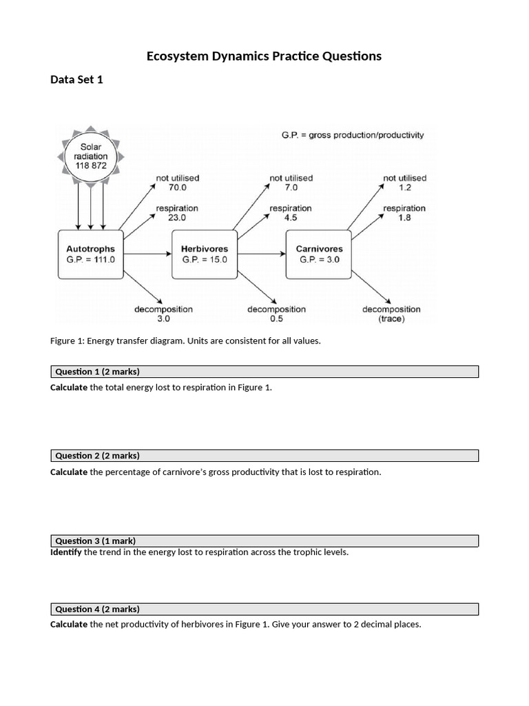 Ecosystem Dynamics Energy Calculations | PDF