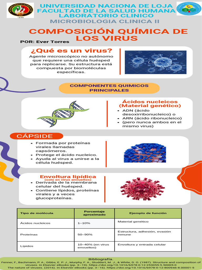 Infografia - Composicion Quimica de Los Virus | PDF | Virus | Biología ...