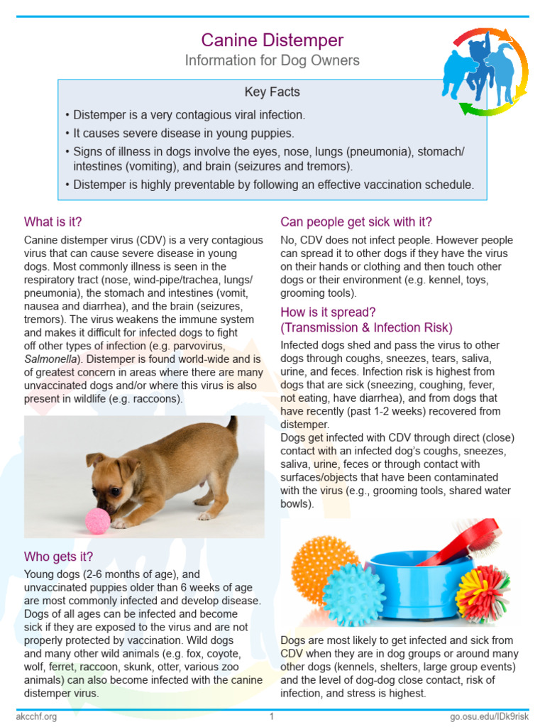 Canine Distemper Fact Sheet 20200123 | PDF | Dogs | Infection