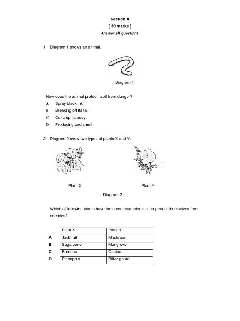 Animal and Plant Defense Mechanisms | PDF