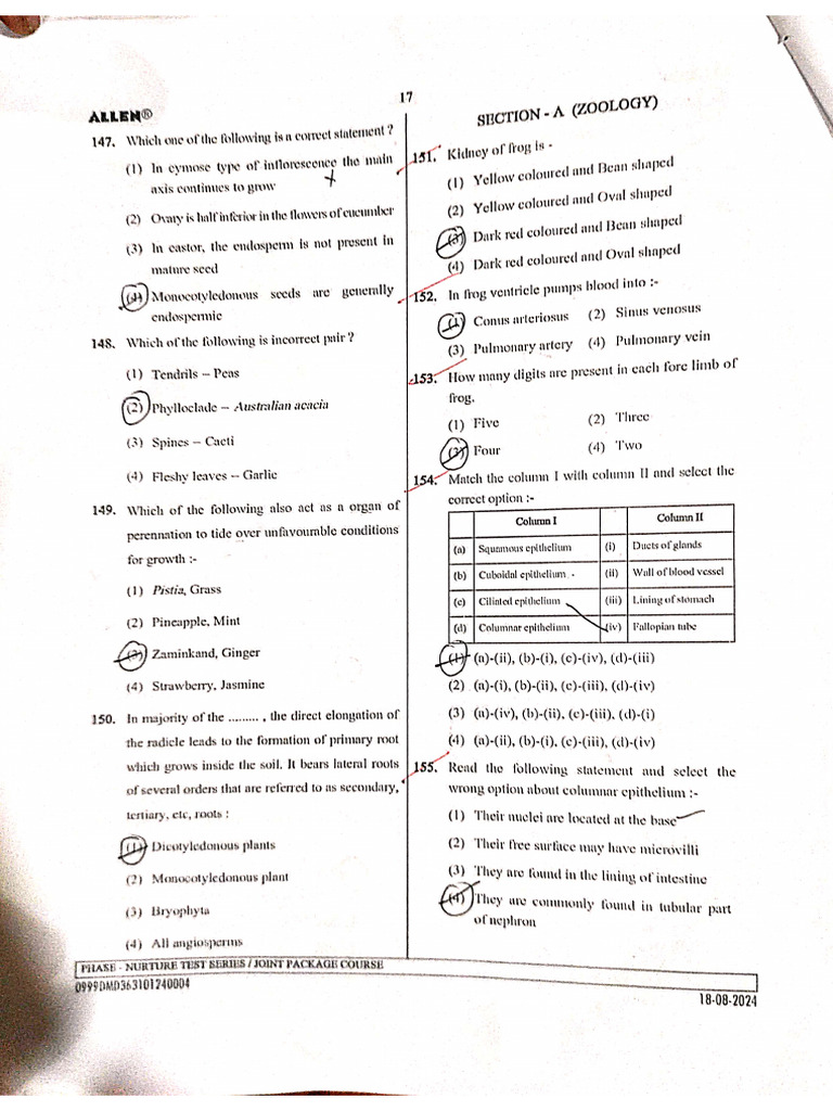 Structural Organization | PDF