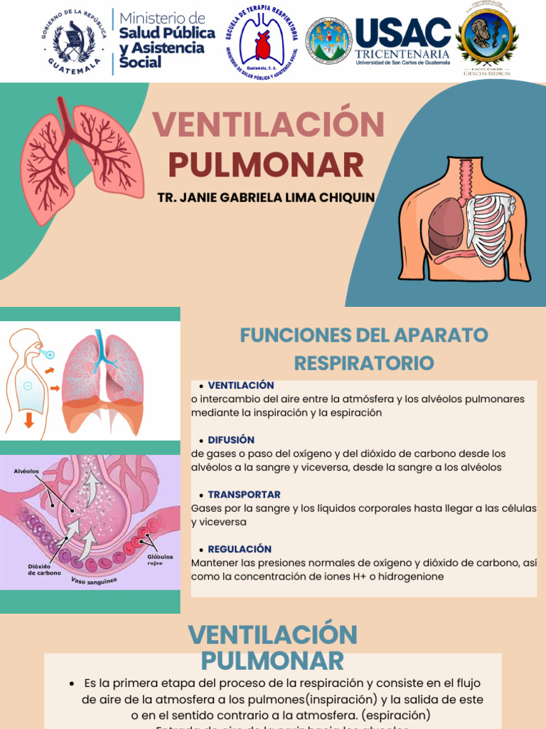 Ventilación Pulmonar | PDF | Sistema respiratorio | Pulmón