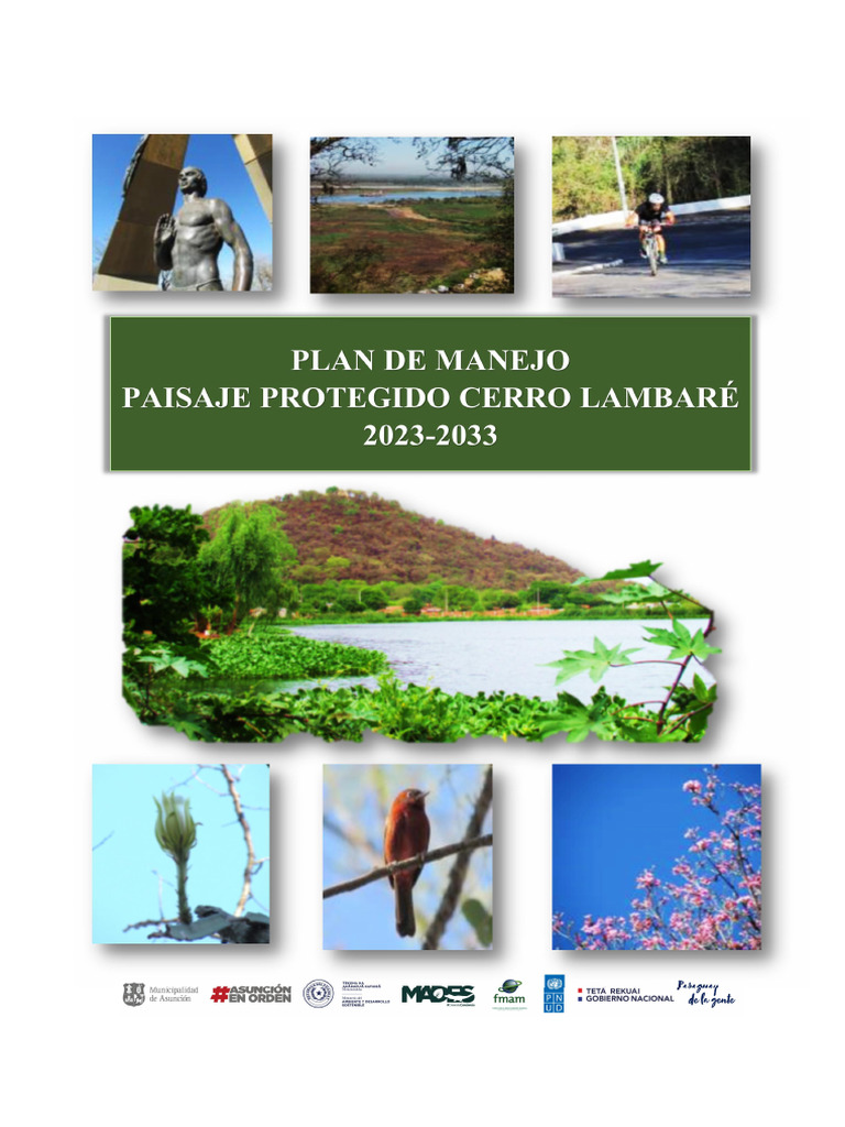 Plan de Manejo Cerro Lambaré 2023-2033 | PDF | Paraguay | Ciencias de ...