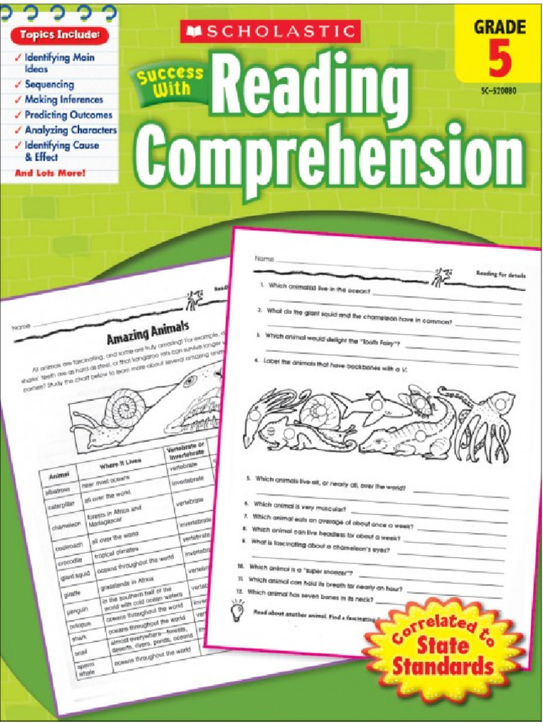 Grade 5 Reading Comprehension Guide | PDF