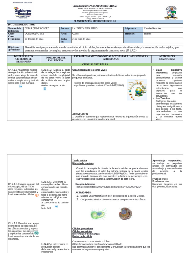 PLAN CCNN 8vo | PDF | Biología Celular) | Aprendizaje