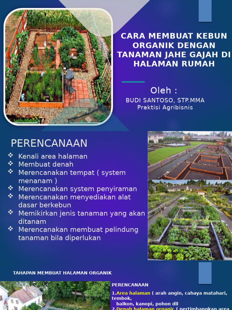 Cara Membuat Kebun Organik Di Halaman Rumah (Jahe Gajah) | PDF