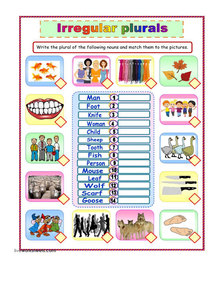 Worksheet - Irregular Plurals | PDF