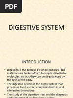Elephant GI Anatomy & Physiology | PDF | Gastrointestinal Tract | Digestion