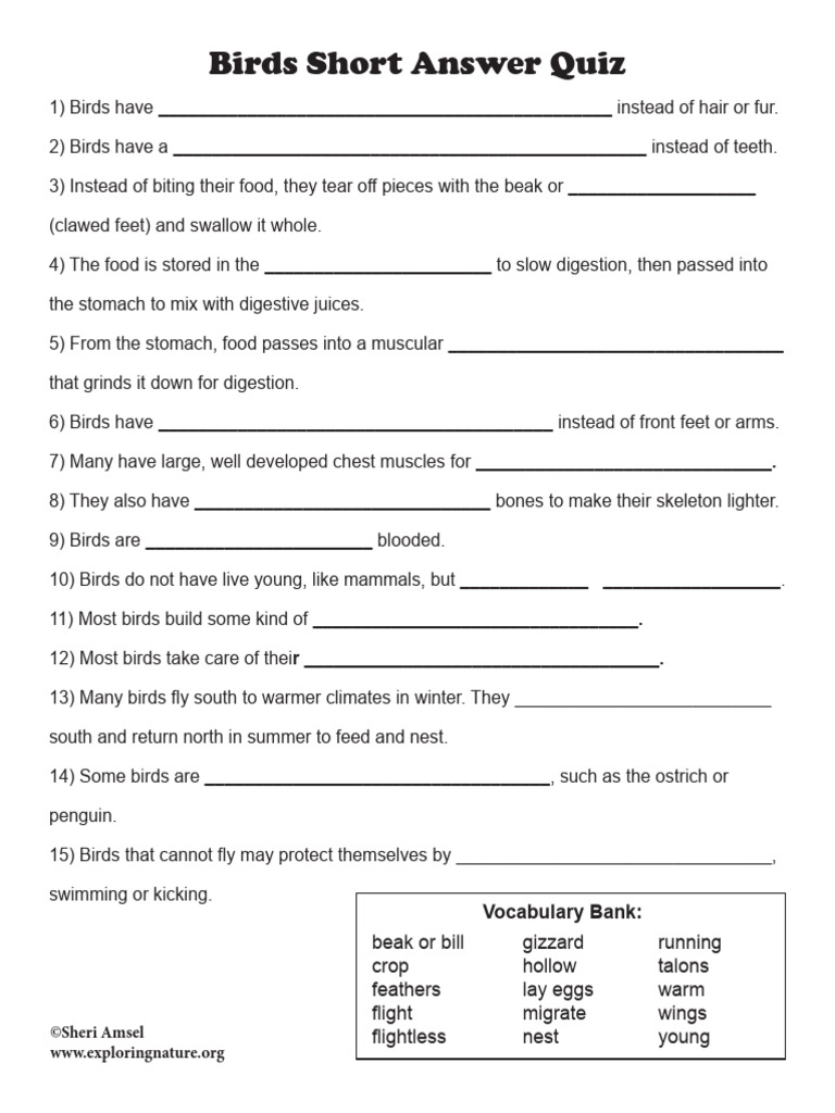 Birds Short Answer Quiz KEY | PDF | Birds | Beak