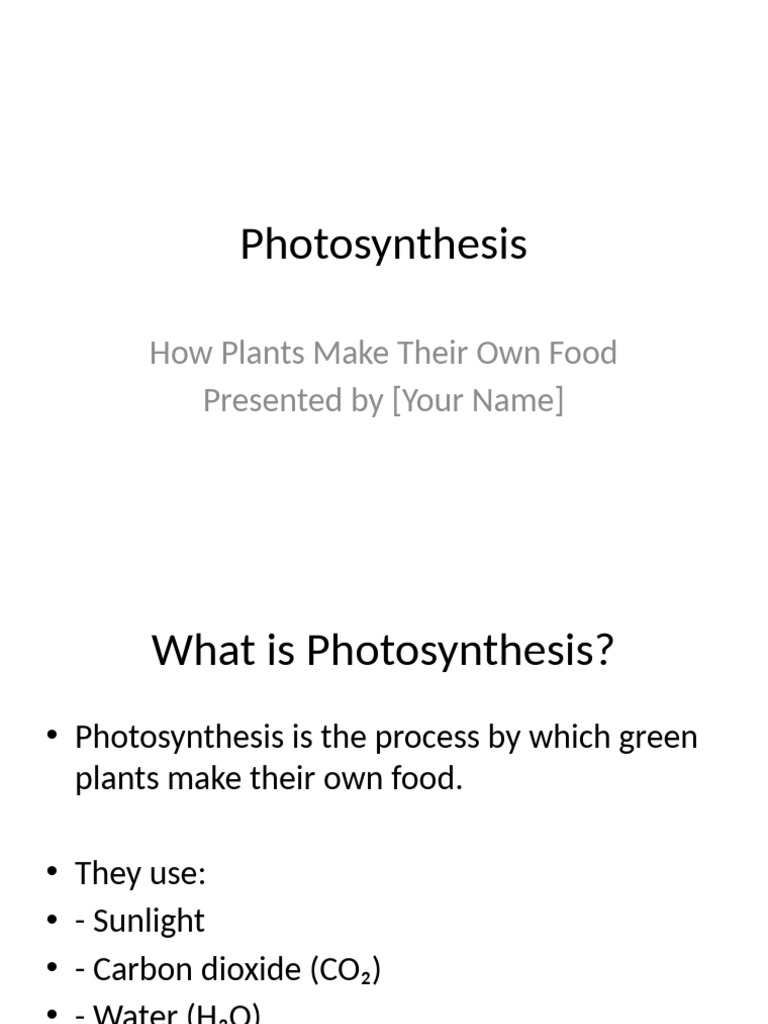 Photosynthesis Presentation Secondary2 | PDF