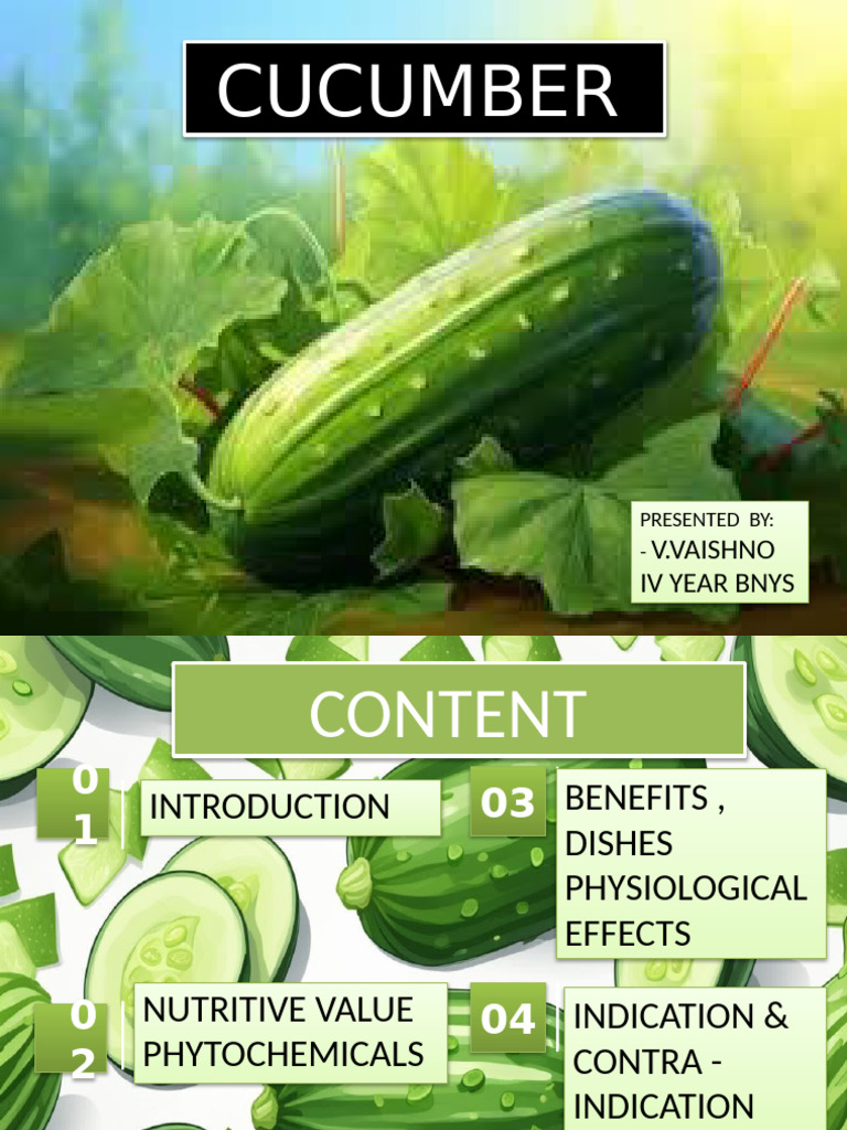 Cucumber - Fasting and Dietetics | PDF | Dietary Fiber | Diet & Nutrition