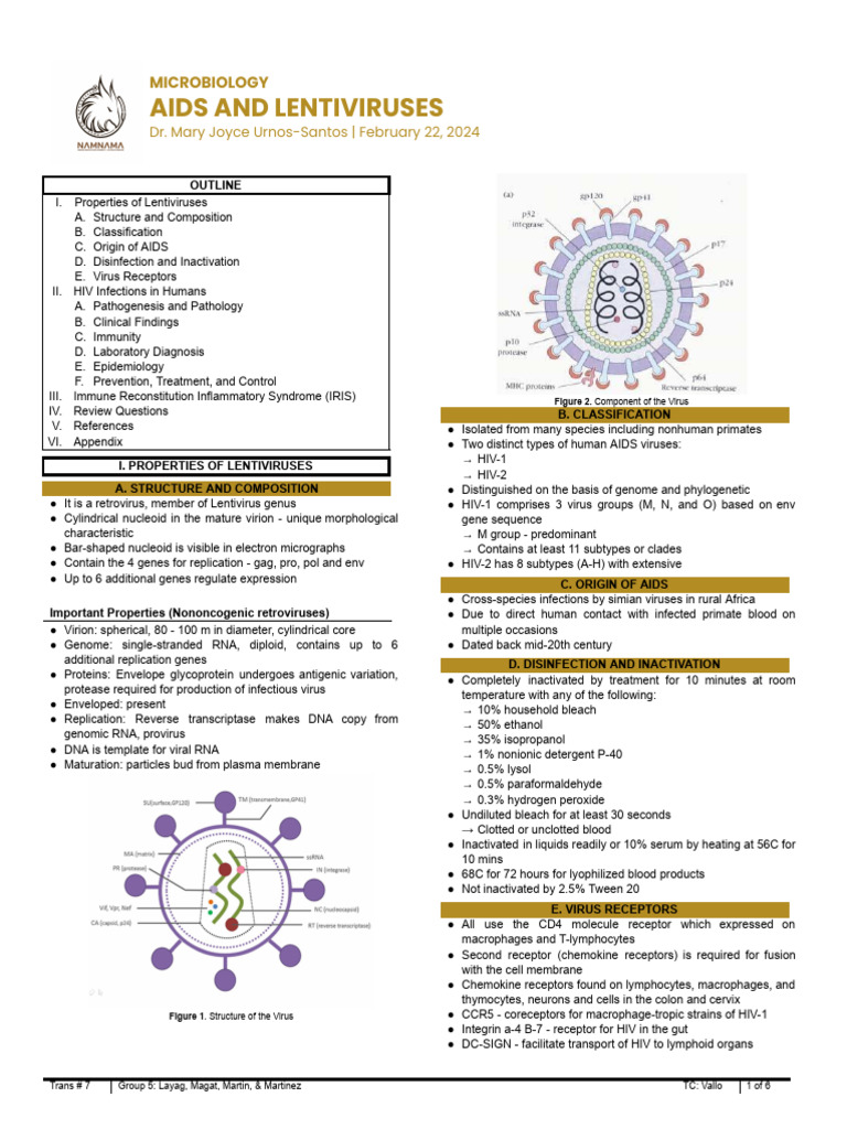 07 Microbiology AIDS and Lentiviruses Dr. Santos | PDF | Hiv | Virus
