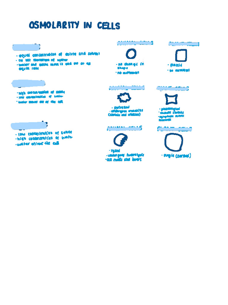 Osmolarity in Cells | PDF