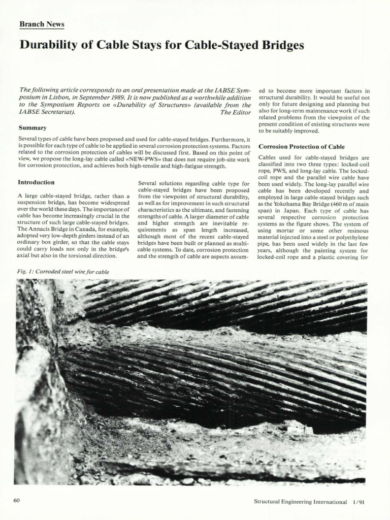 Durability of Cable Stays in Bridges | PDF | Wire | Corrosion