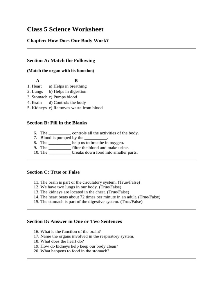 Class 5 Human Body Worksheet Guide | PDF | Heart | Blood