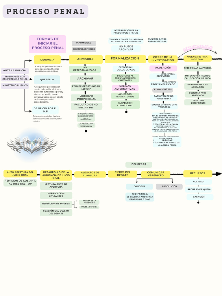 Esquema del Proceso Penal en Chile | PDF | Queja | Procedimiento legal