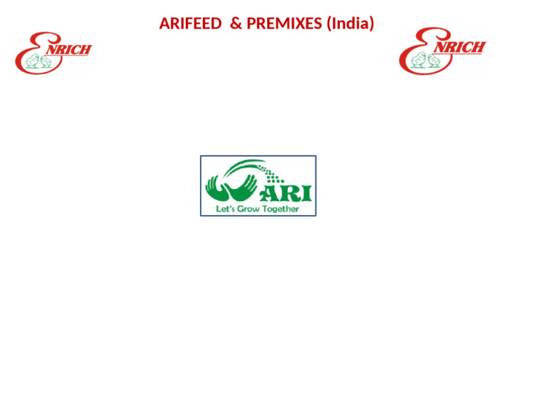 Ari and Enrich Logo | PDF