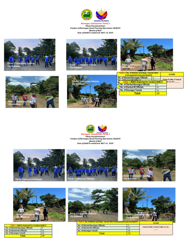 Barco Unfinished Annex c1 New | PDF