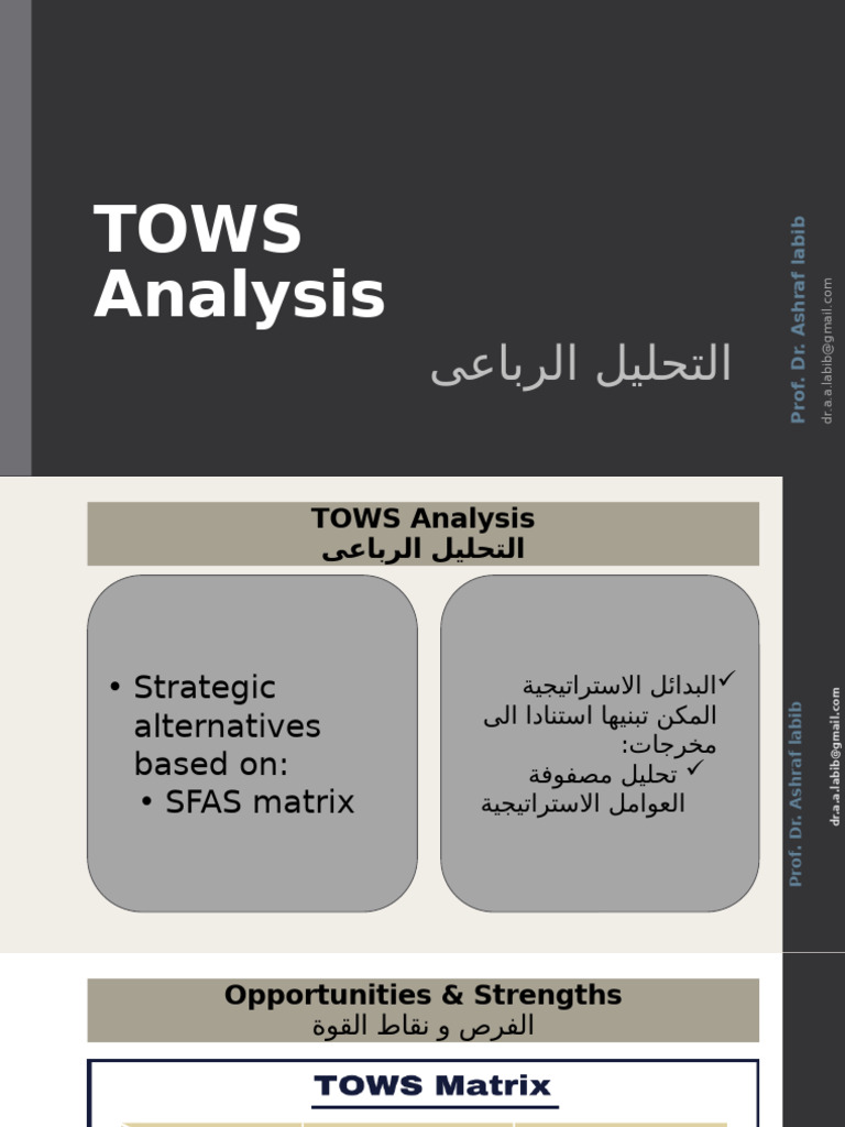 TOWS Analysis | PDF