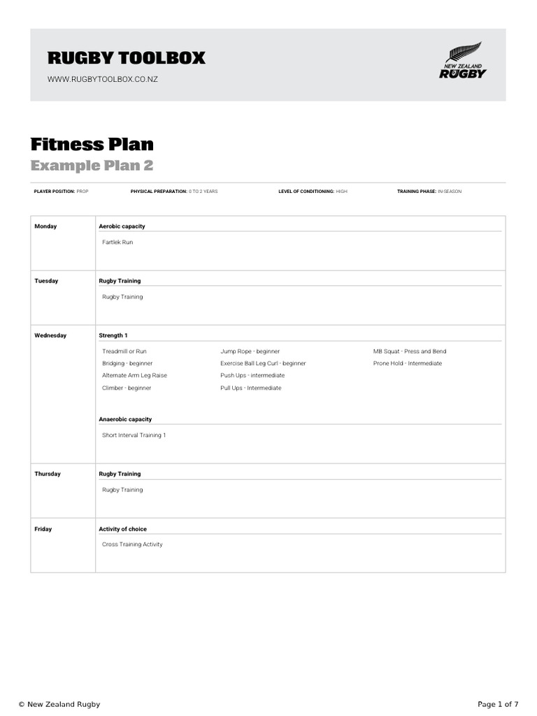 Fitness Plan Example Plan 2 2025-02-08 | PDF | Physical Exercise