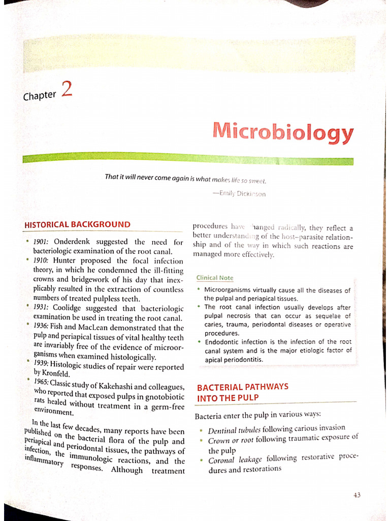Microbiology From Grossman Endodontics | PDF