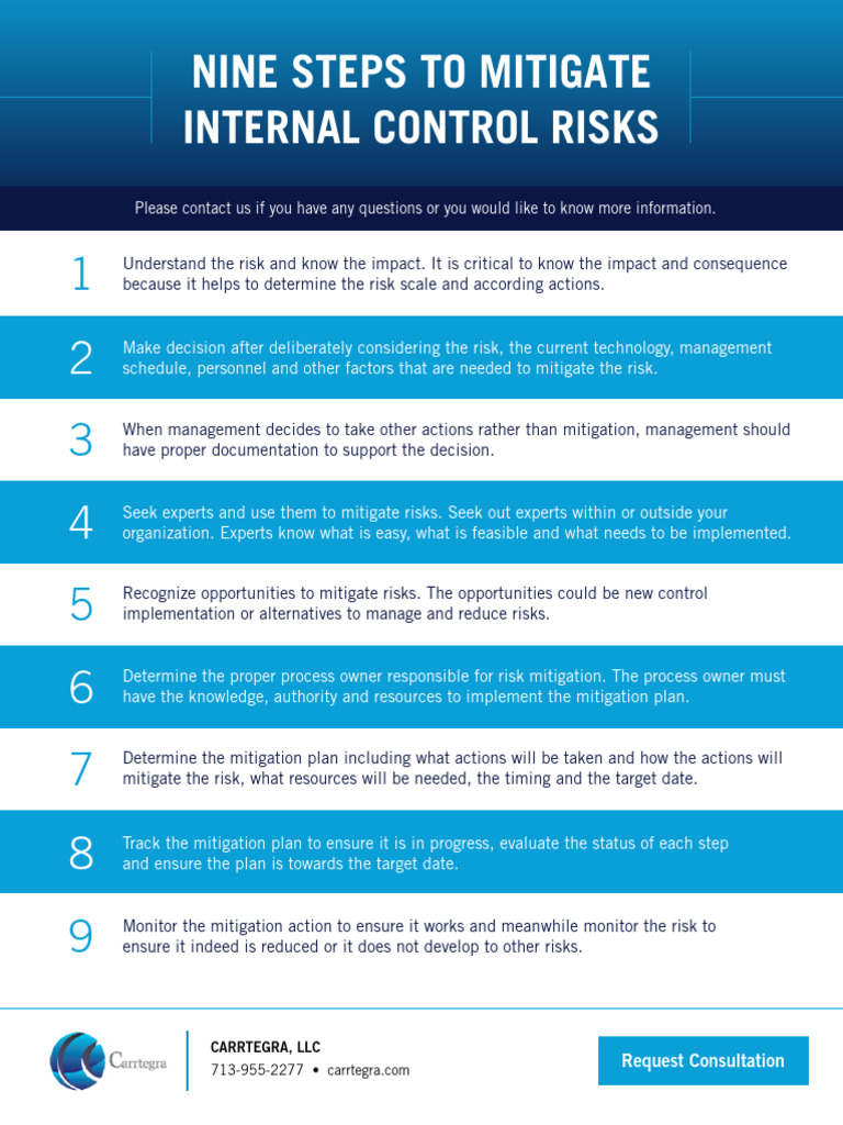 9 Steps To Mitigate Internal Control Risks | PDF
