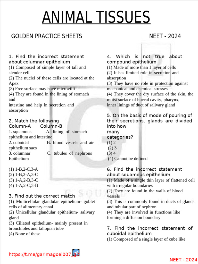 Gold DPP of Animal Tissues by Garima Mam | PDF | Epithelium | Connective Tissue
