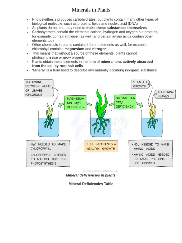 Essential Minerals for Plant Growth | PDF