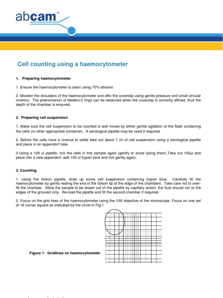 Haemocytometer Cell Counts | PDF | Laboratory Equipment | Laboratories