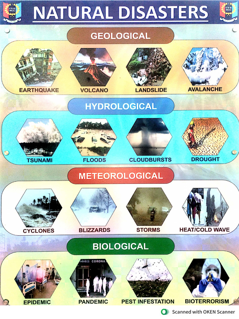 Disaster Management | PDF
