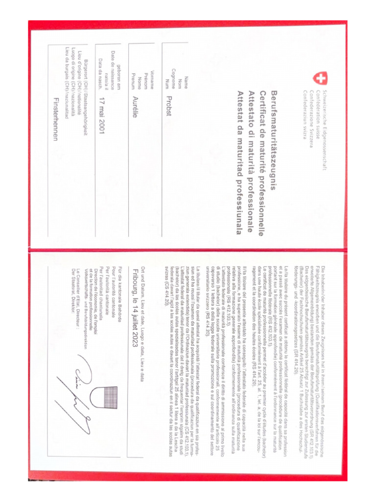 Maturité Professionnelle Aurélie Probst | PDF