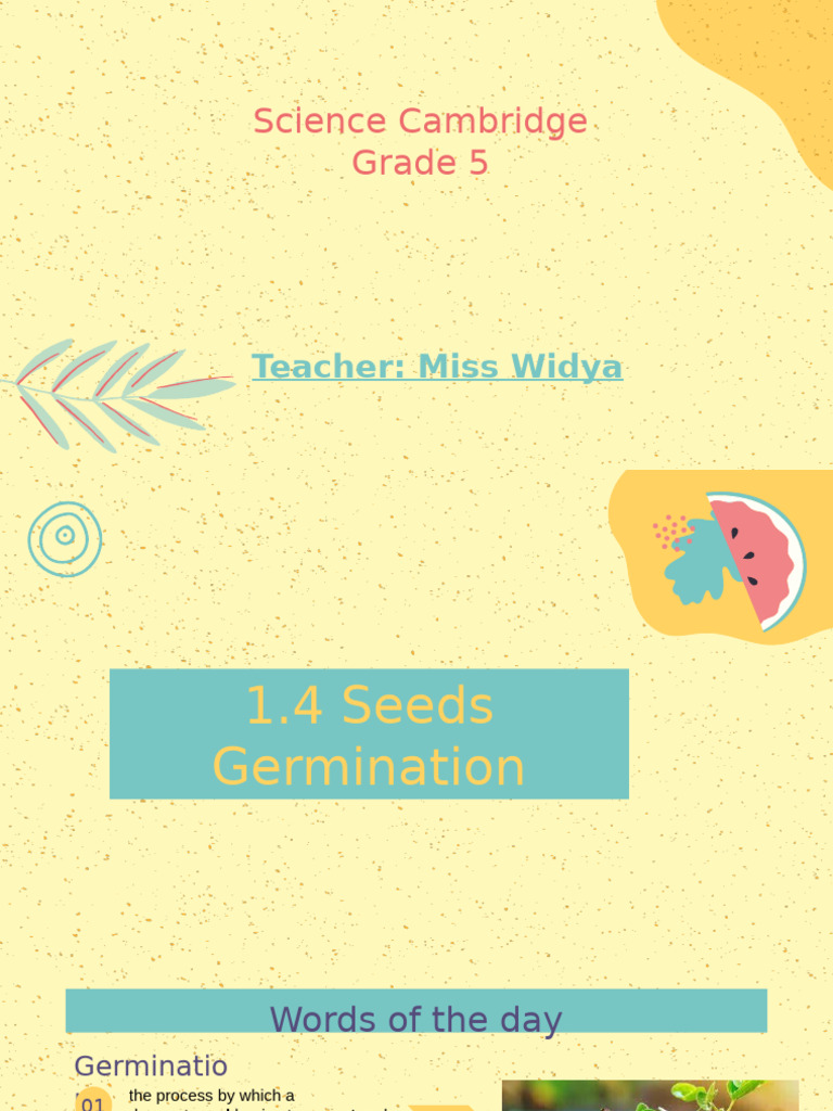 How Seeds Grow | PDF