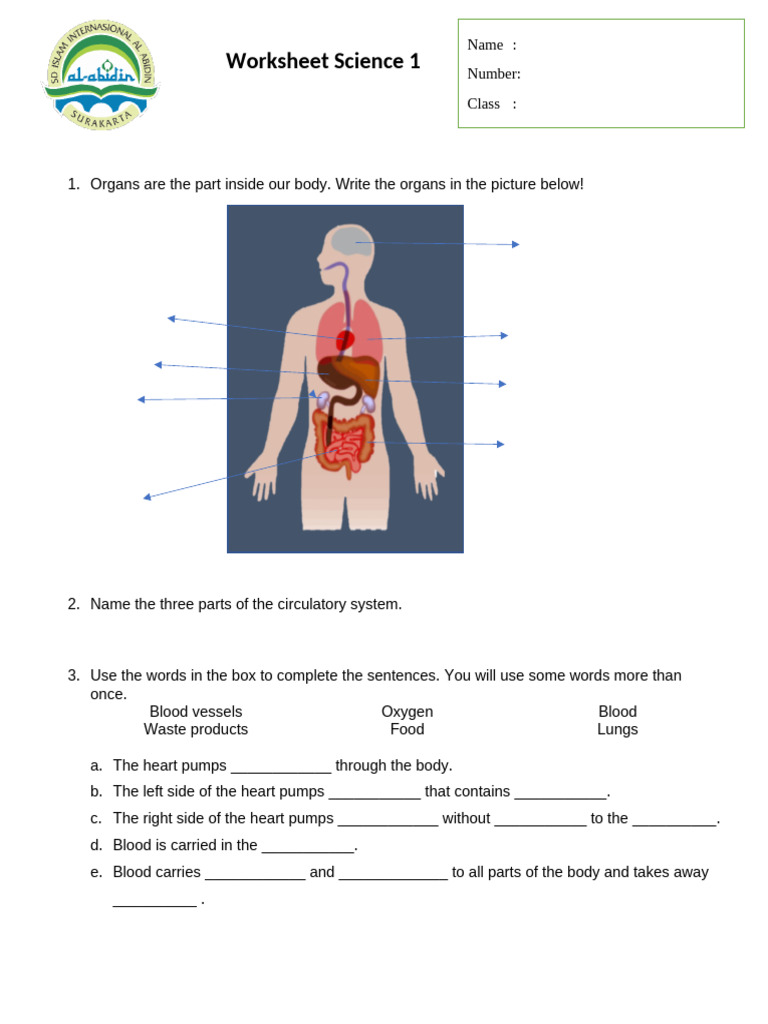 Worksheet Science 1 | PDF