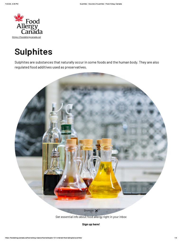 Sulphites - Sources of Sulphites - Food Allergy Canada | PDF | Allergy ...