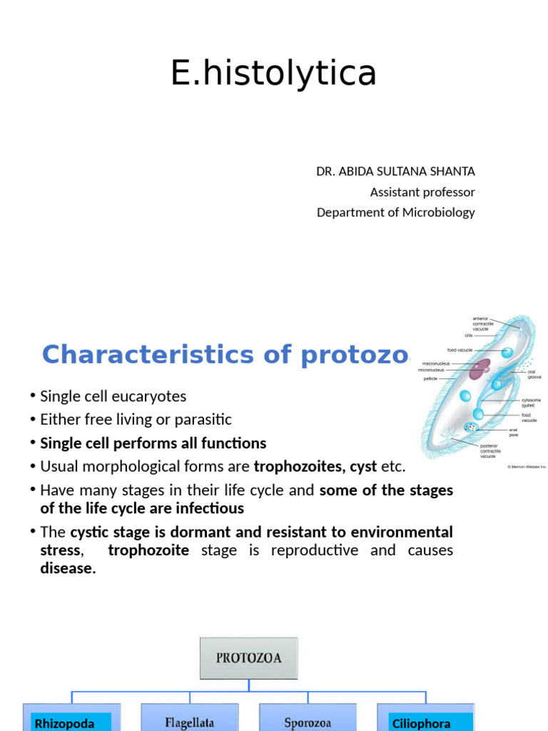 Entamoeba Histolytica | PDF | Medical Specialties | Microbiology